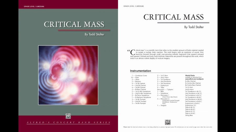 Critical mass - Congas Instrumento
