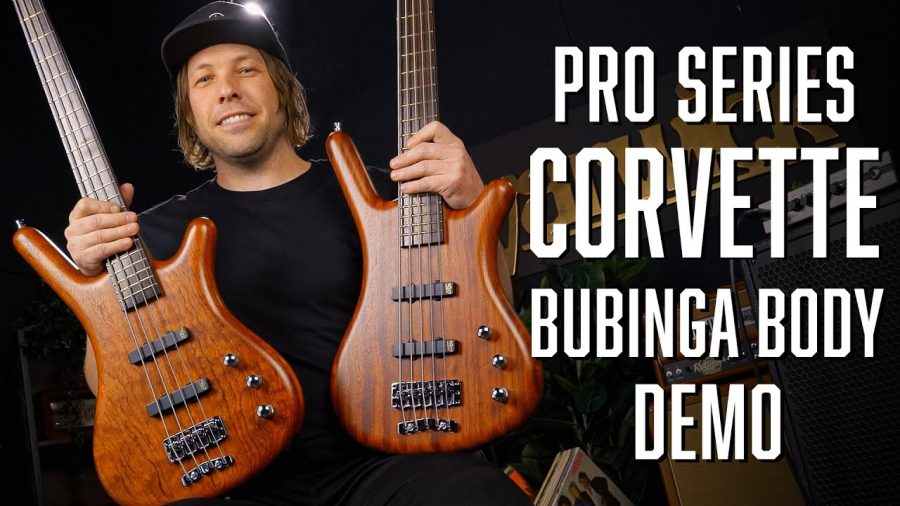 Warwick bass - Congas Instrumento